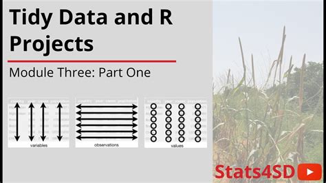 data management tidy data and r projects youtube