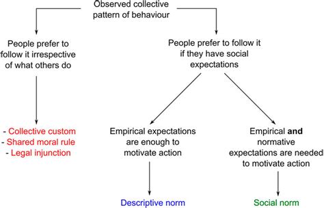Frontiers Evaluating The Role Of Social Norms In Fostering Pro