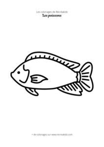 Coloriage poisson simple Dessin à colorier imprimer en PDF