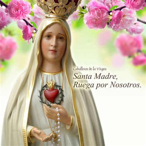 Virgen María Ruega por Nosotros 07 06 15