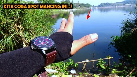 Mancing Nila Liar Umpan Lumut Halus Mancing Waduk Selorejo Ngantang