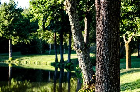 Lac De Xeresa Fronton
