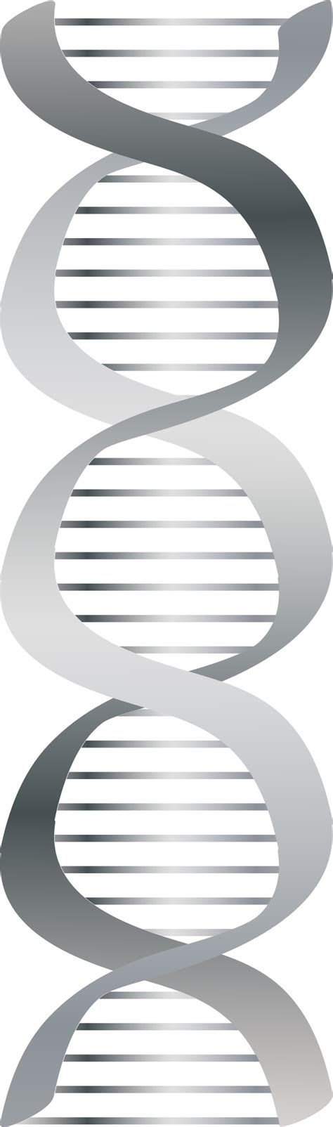Dna Png Transparent Images