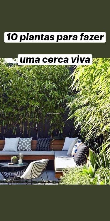 10 plantas para fazer uma cerca viva Simples Decoração Small garden
