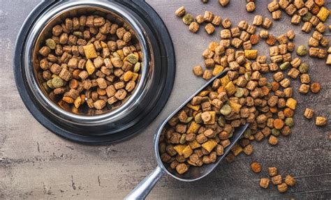 Los Mejores Alimentos Para Perros Mejor Valorados