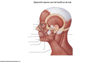MemorAid Test Spieren 1