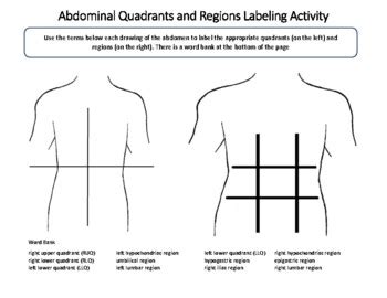 Abdominopelvic Quadrants Blank