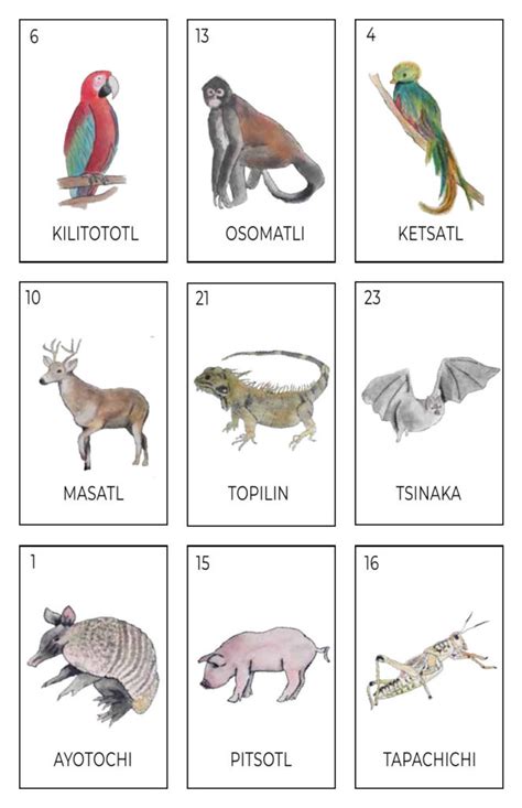 Nahuatlahtolli Nahuatl