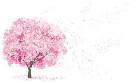 リアルな一本の桜の木から風で舞う花びら透過イラスト背景なし無料 フリー83079 素材Good