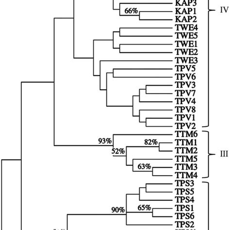 upgma genetic similarity dendrogram from inter simple sequence repeat download scientific