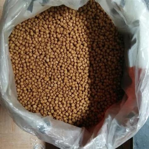 Jual Repack Pakan Ikan Harmoni Koi Growth Color 2 Kg M 5MM Kota