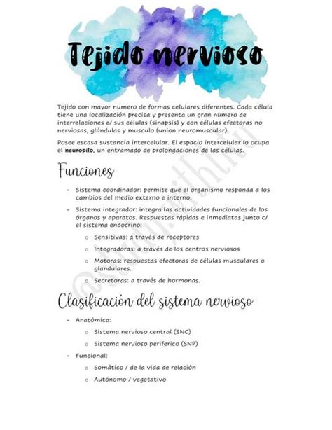 Tejido Nervioso Study With Titu UDocz