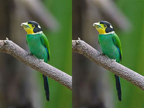 Color Image Representation In Binary Binary