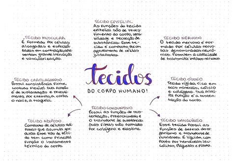 MAPA MENTAL SOBRE TECIDOS DO CORPO HUMANO Maps4Study