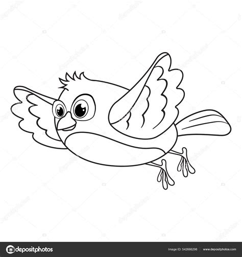 Pájaros Voladores Para Colorear Para Niños