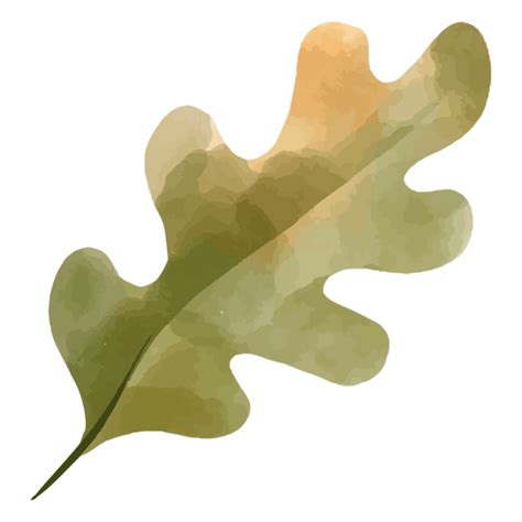 Png Y Svg De Acuarela Con Fondo Transparente Para Descargar