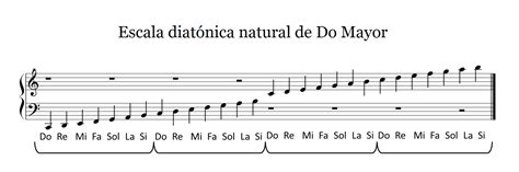 Descubre La Escala Completa De Notas Musicales F E C C