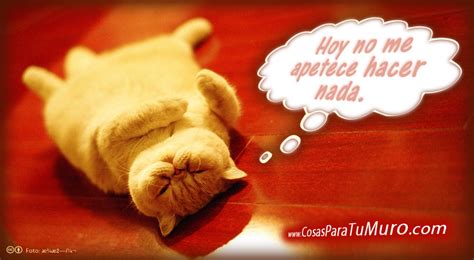 No Me Apetece