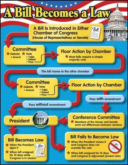 Bill Becomes A Law Chart Teaching Government Homeschool Social