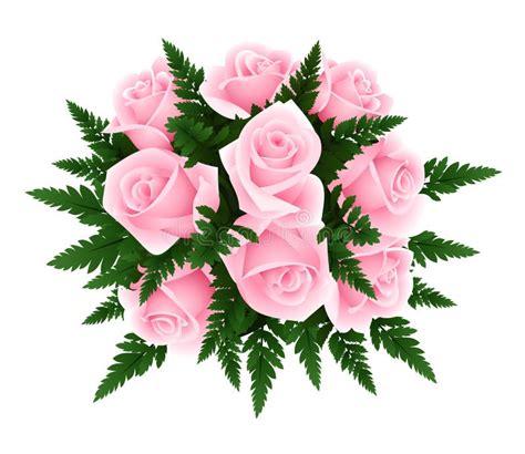 Ramo De Rosas Rosadas Con El Helecho Y El Gypsophila VE Ilustración