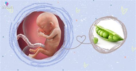 Thai nhi 13 tuần tuổi Dấu vân tay hình thành Bà bầu