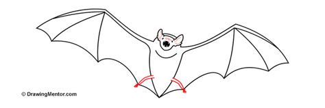 How To Draw A Bat Tutorial