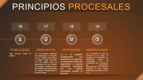 Principios Procesales En Materia Penal Image To U
