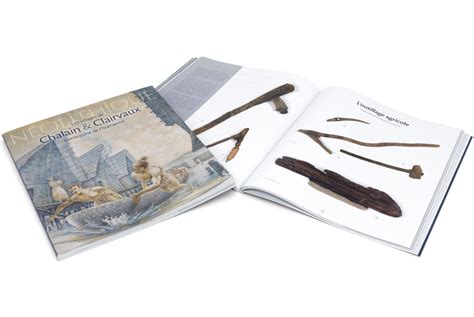 Projet Publication Neolithique Les Villages De Chalain Et Clairvaux