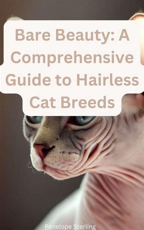 Bare Beauty A Comprehensive Guide To Hairless Cat Breeds Ebook