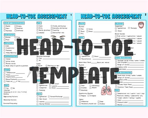 Head To Toe Printable Nursing Assessment Form Template Printable Form