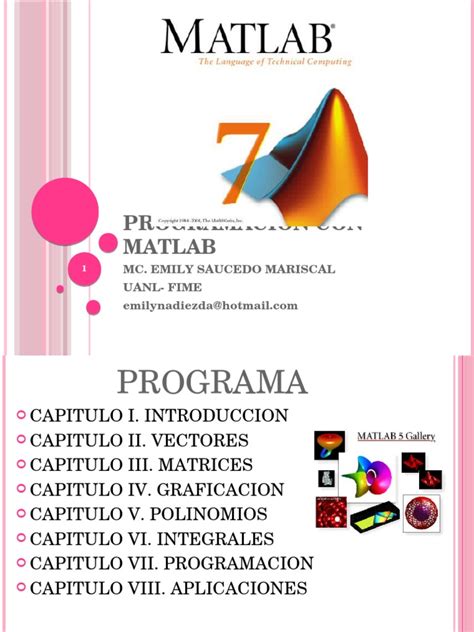 introduccion matlab pdf matriz matemáticas integral