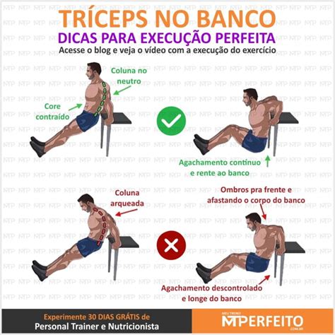 Tríceps no Banco Dicas para a execução perfeita Meu Treino Perfeito