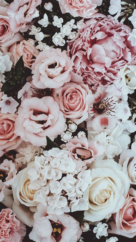 Aesthetic Pink Roses Wallpapers Wallpaper Cave