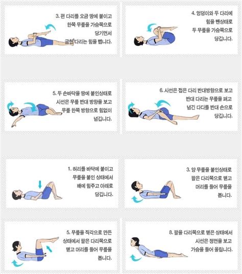 Williams Low Back Exercises Off