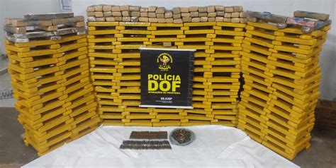 DOF apreende 400 quilos de drogas e mais de 500 munições de grosso