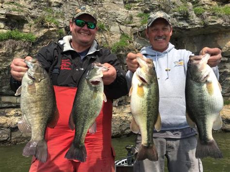Smallmouth Vs Largemouth Bass A Simple Guide