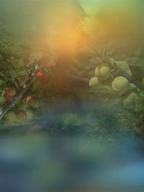 Nature Garden Hd Studio Background Full Hd Wallpaper Off