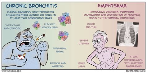 Chronic Obstructive Pulmonary Disease COPD Nursing Care Management