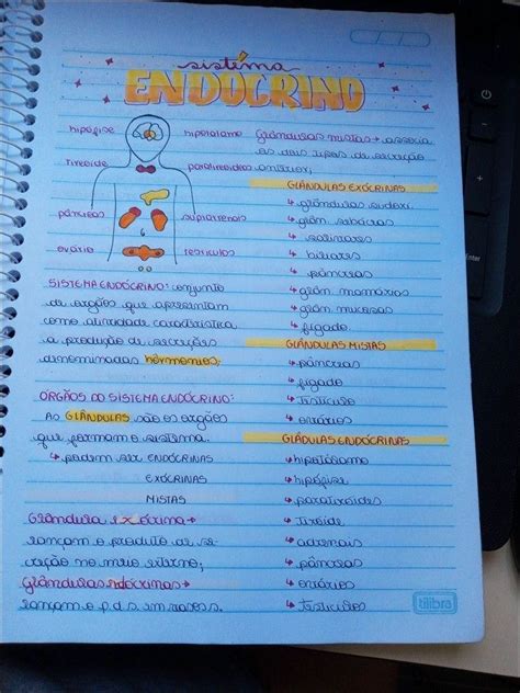 98 Mapas Mentais Sobre SISTEMA ENDOCRINO Study Maps