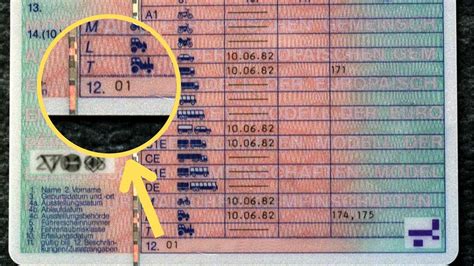 Zahlen auf dem Führerschein Diese Bedeutung hat das Feld Zwölf