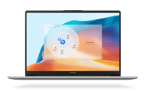 HUAWEI MateBook D 14 2024 13th Gen Core HUAWEI Global