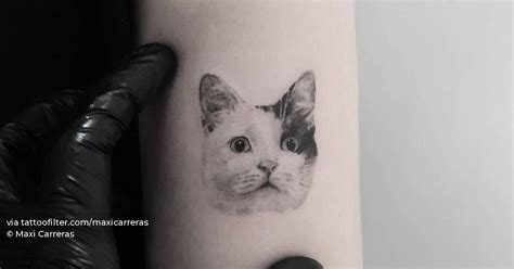 Micro Realistic Cat Portrait Tattoo On The Tricep