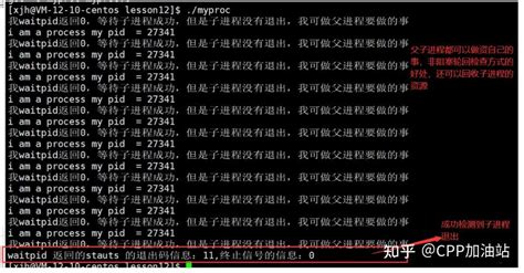 【linux】进程控制（wait 和 waitpid）的理解和使用 知乎
