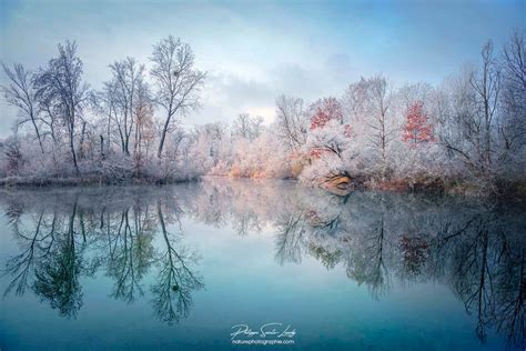 LES PLUS BELLES PHOTOS DE NATURE PHOTOGRAPHIE