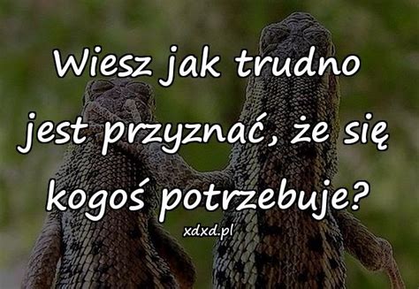 Memy obrazki sentencje cytaty te myśli te mysli besty aforyzmy