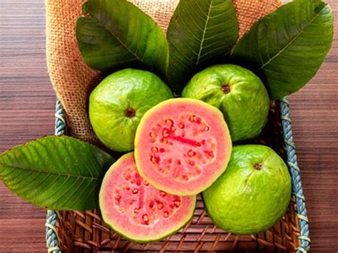 Manfaat Jambu Biji Bagi Kesehatan Dan Kecantikan Kulit Wajah Tagar