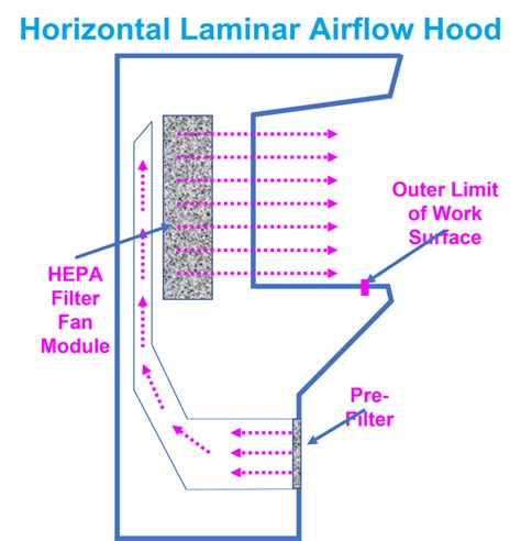 Laminar Flow Cabinet Diagram Review Home Co