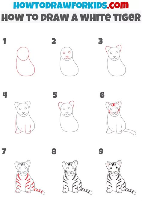 How To Draw A White Tiger Tiger Drawing Easy Tiger Drawing Tiger