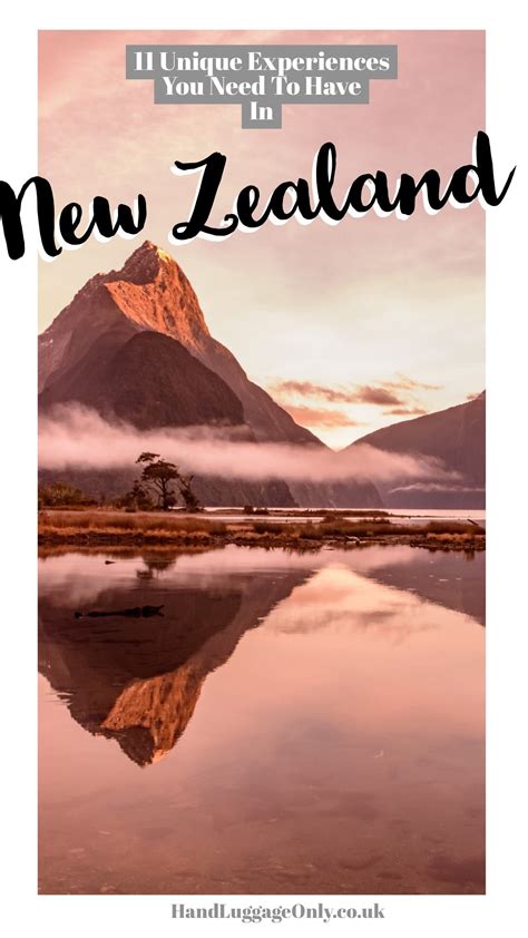 11 Unique Experiences You Need To Have In New Zealand Hand Luggage