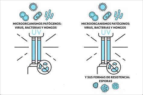 CONOCES LAS DIFERENCIAS ENTRE DESINFECCIÓN Y ESTERILIZACIÓN Germiled